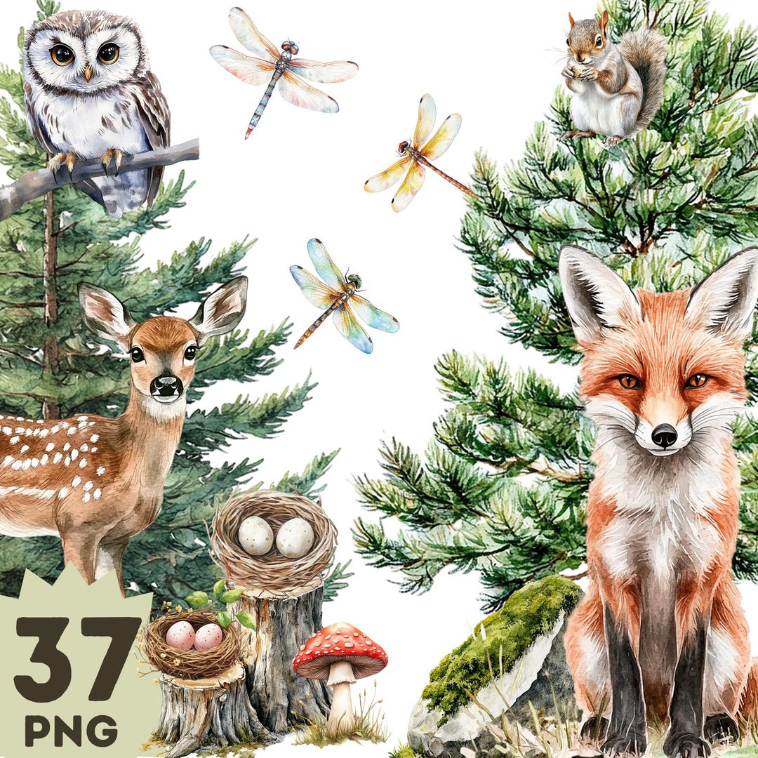 Forest, Woodland Animals Clipart, Watercolor Clipart, Transparent Pngs ...