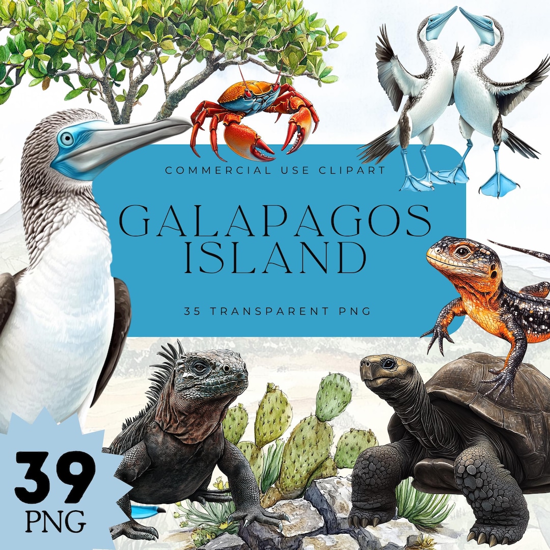Galapagos Islands Clipart Set: Tropical Wildlife Pngs (commercial Use ...