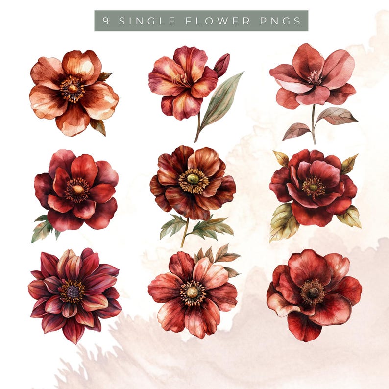 50 PNG, Burgundy and Rust Watercolor Flowers Clipart, Fall Floral, Art ...