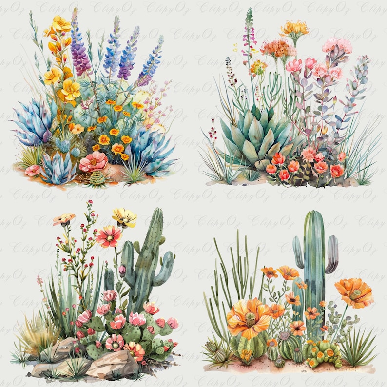 Watercolor Desert Florals Cactus Clipart, Cacti Graphics, Digital ...