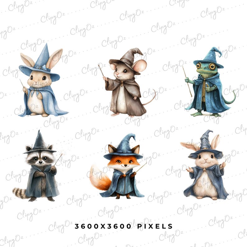 Wizard Animals | Magical Animals | Animals as a Wizards PNG | Funky ...