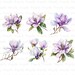 Purple Magnolia Watercolour Flowers, Transparent PNG, Purple Flowers ...