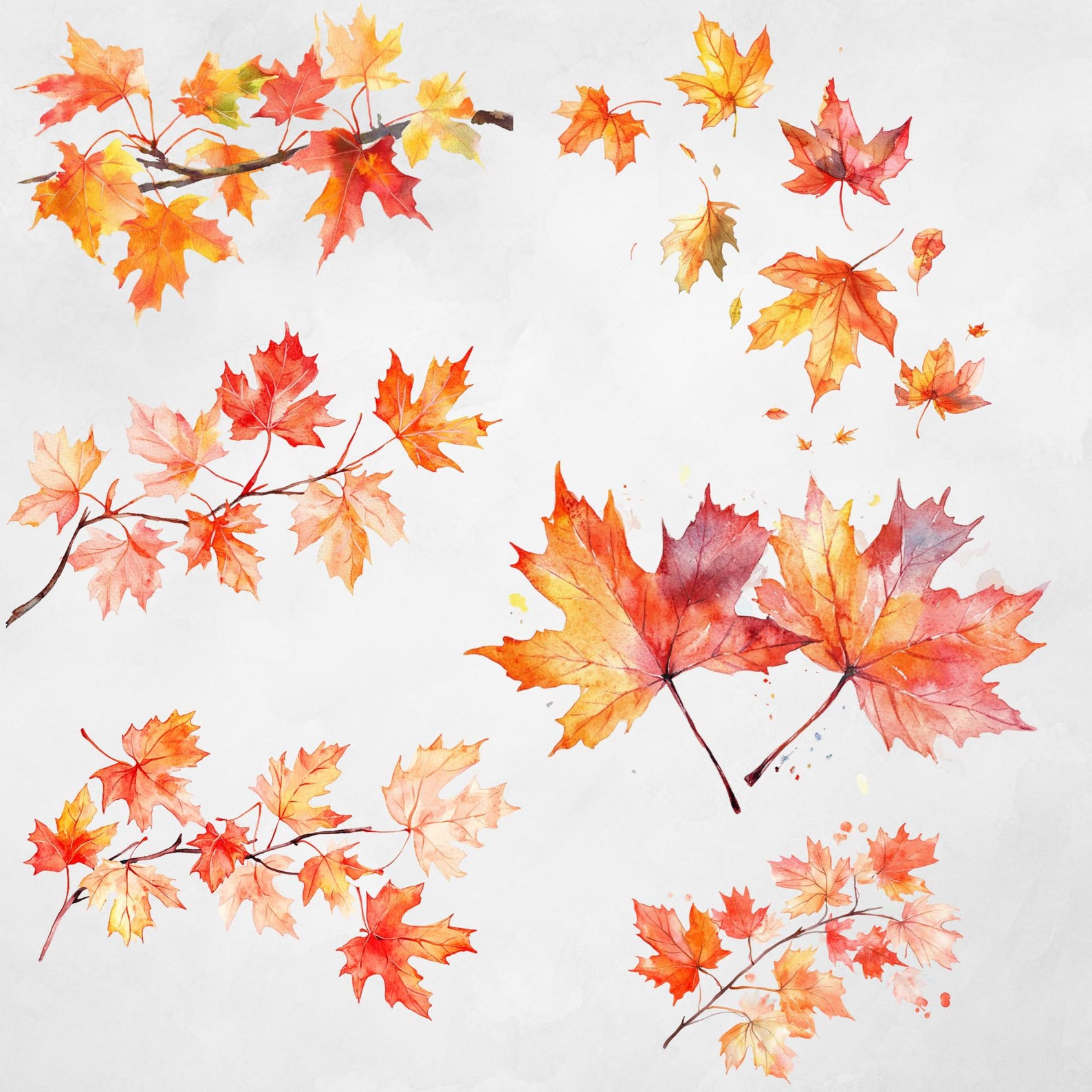 Watercolor Maple Leaf Clipart, Autumn Graphics, Digital Orange ...