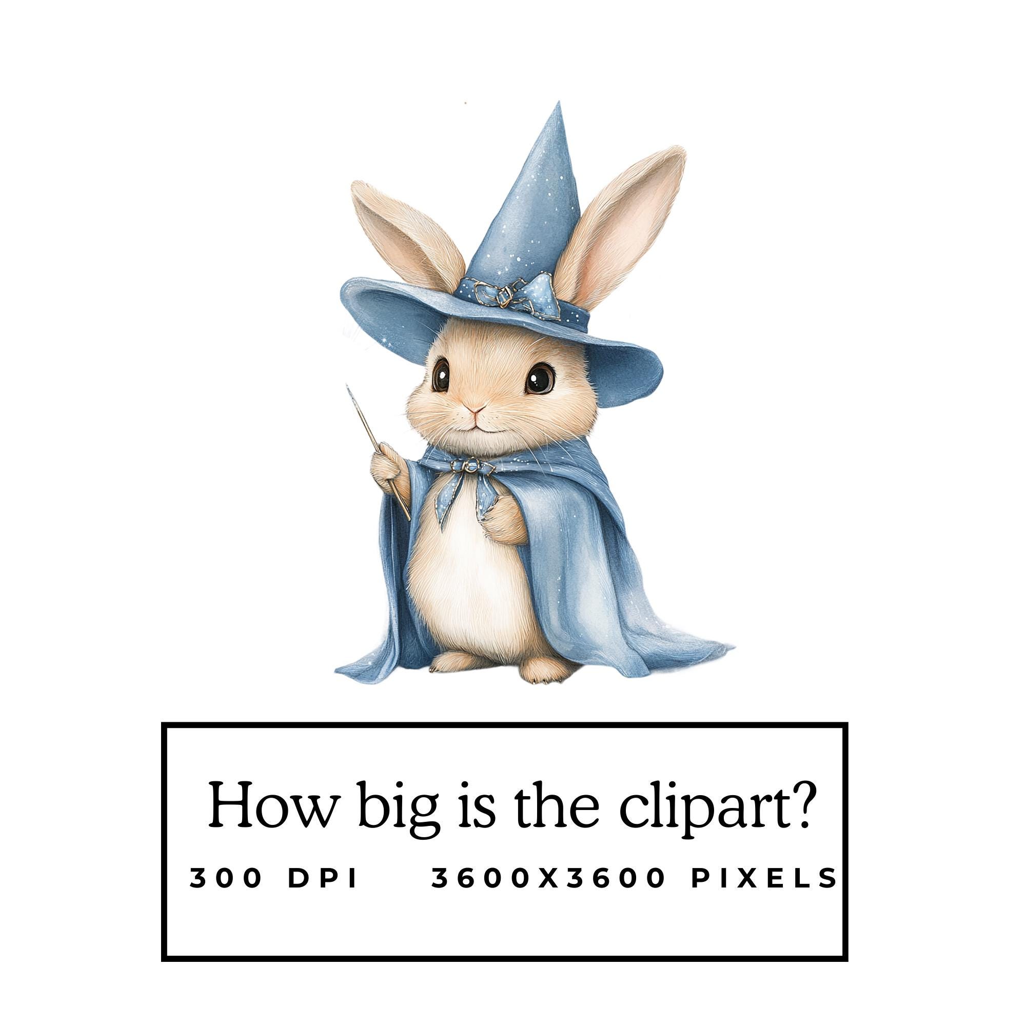 Wizard Animals | Magical Animals | Animals as a Wizards PNG | Funky ...