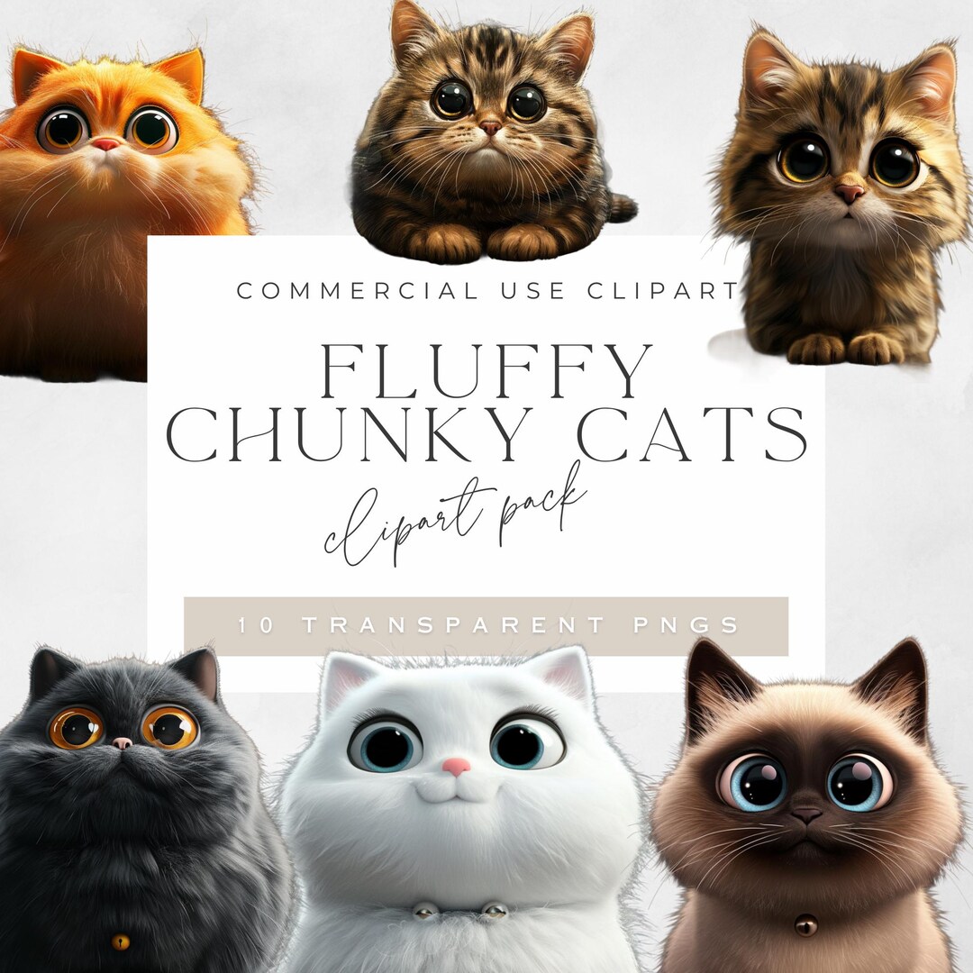 10 Cute Chunky Fluffy Cats , Transparent PNG, Funky Animals Clipart ...