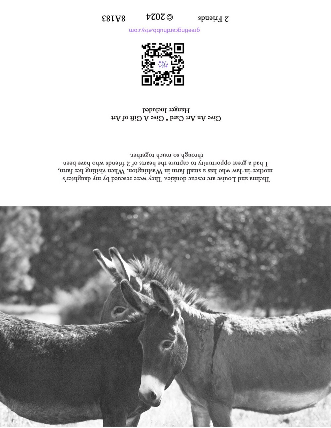 Donkey Best Friend Large Greeting Cards/size 8.5x5.5/all Occasion/card ...