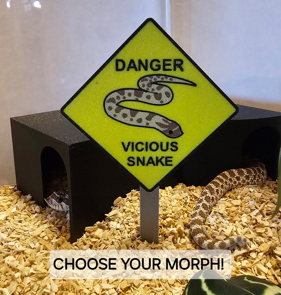 Cute Snake Danger Sign With Post, Vivarium Decoration for Western ...