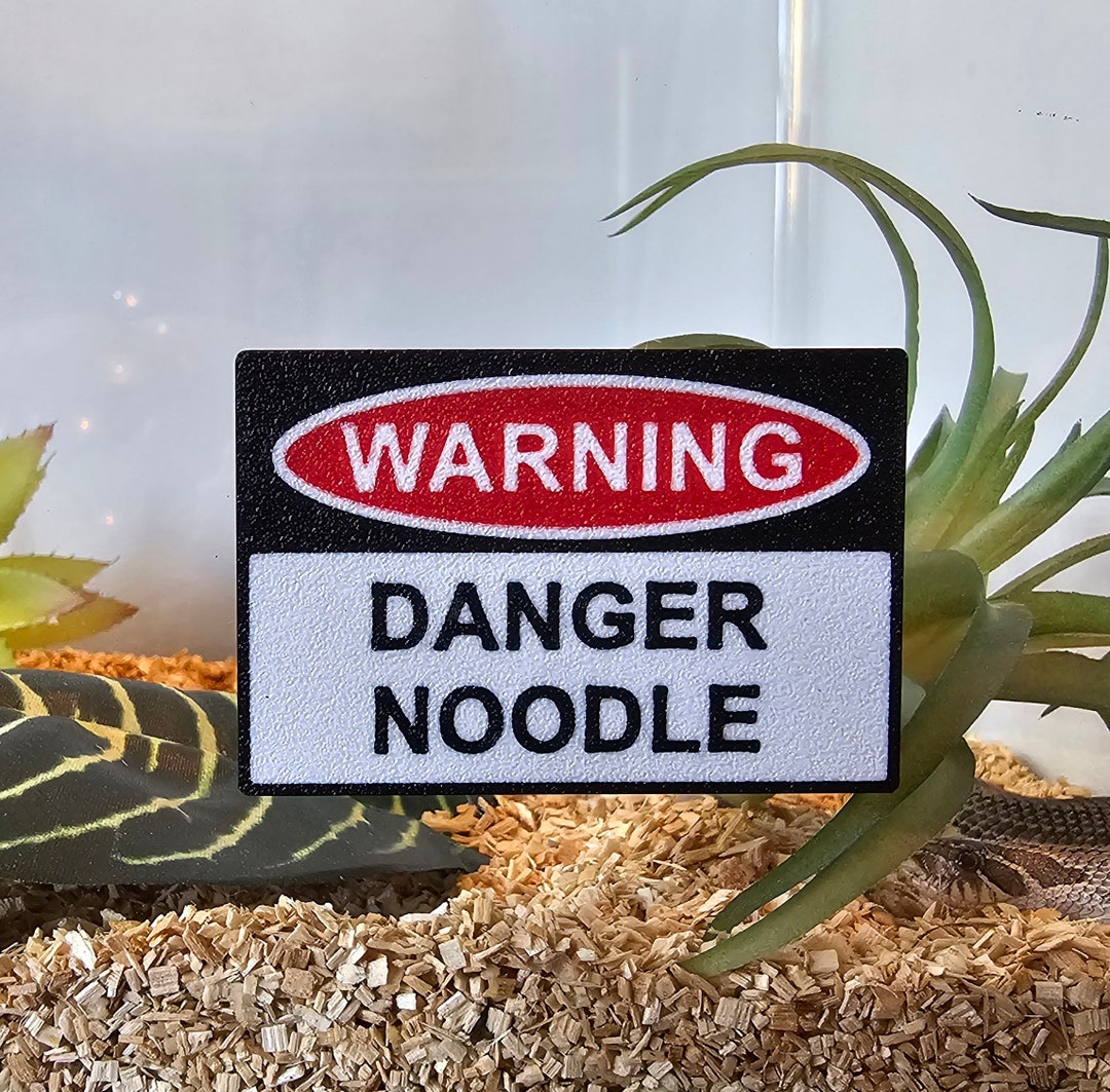 Danger Noodle Cute Snake Warning Sign With Magnets, Vivarium Decoration ...