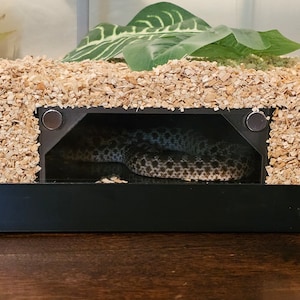 MEDIUM Hoggy Hide. Burrow Hide. Snake Hide for Western Hognose ...