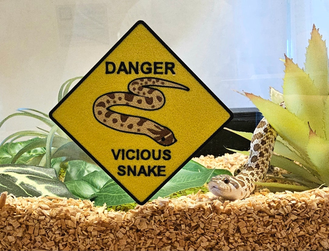 Cute Snake Danger Sign With Magnets, Vivarium Decoration for Western ...