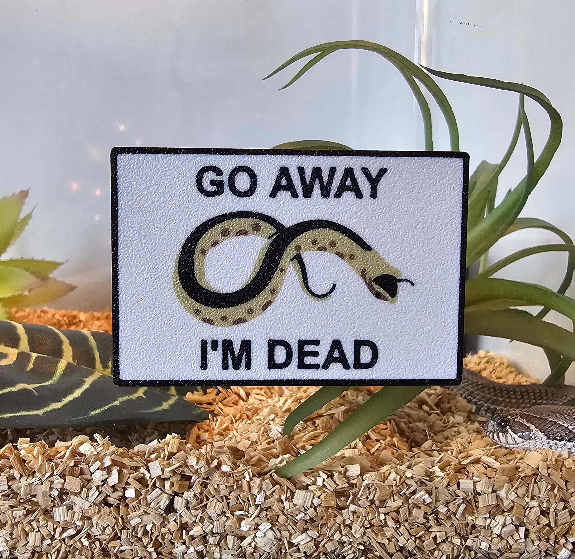 Funny Hognose Snake Sign With Magnets, Vivarium Decoration for Hognose ...