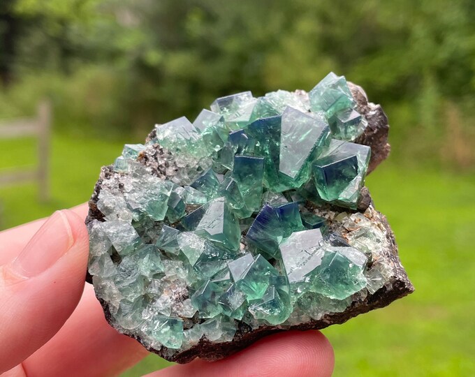 Green Fluorite Crystal Cluster, Greedy Hog Pocket, England - Etsy