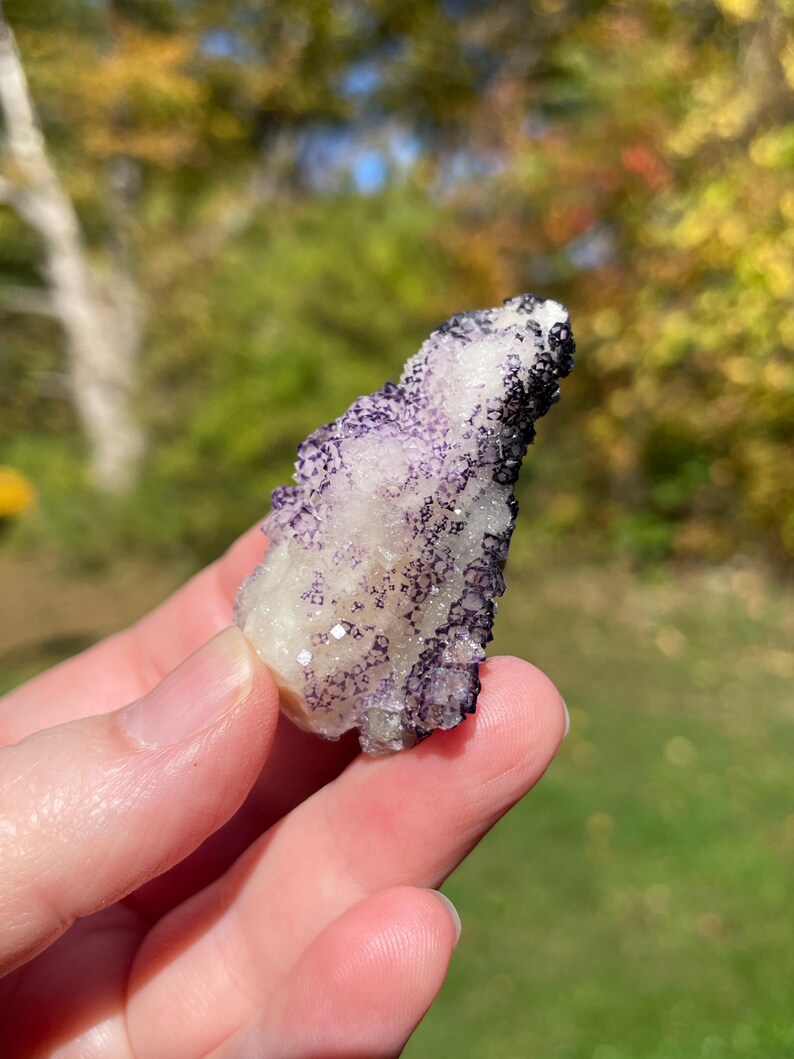 Fluorite Cluster, Purple Outline, Natural Specimen, Guizhou - Etsy
