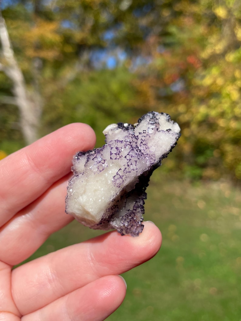Fluorite Cluster, Purple Outline, Natural Specimen, Guizhou - Etsy