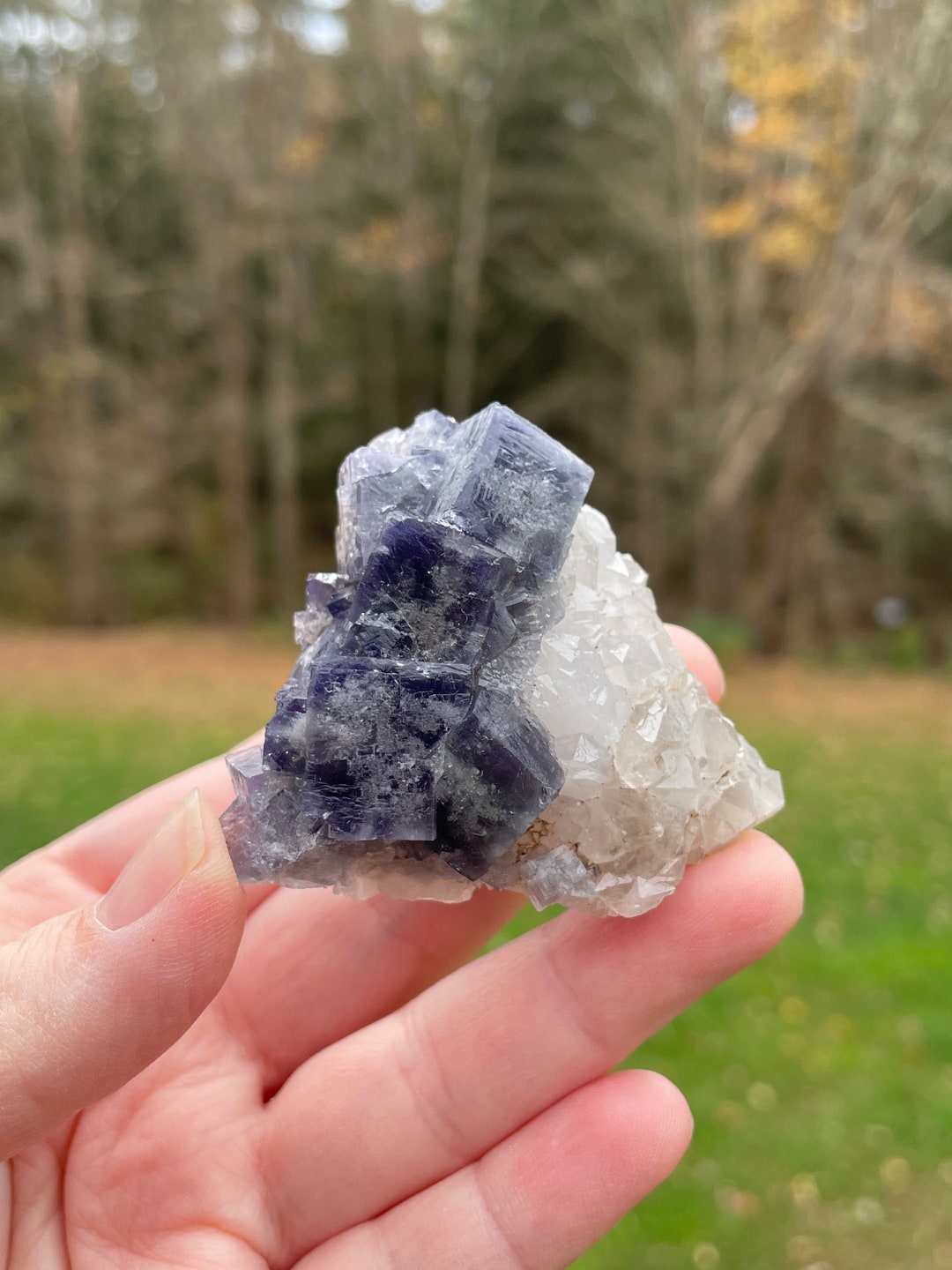 Milky Way Pocket, Fluorite, Quartz, Diana Maria Mine, English Fluorite ... Milky Way Pocket, Fluorite, Quartz, Diana Maria Mine, English Fluorite ...