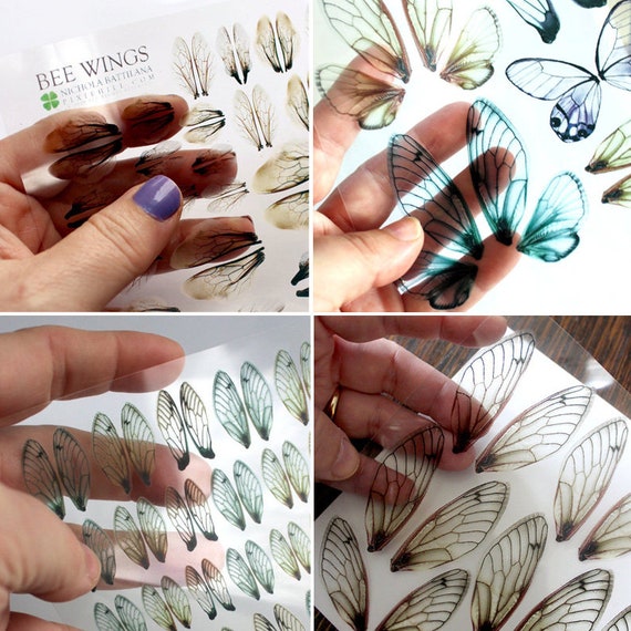 Wings Wings Wings 5 Transparency Collage Sheets - Etsy