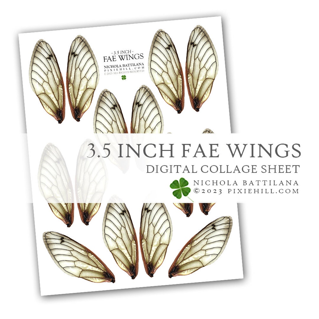 3.5" Inch Fae Wings Digital Download Collage Sheet PDF Faerie Fairy - Etsy
