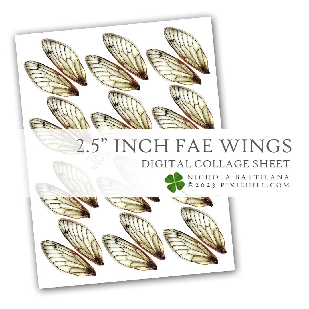 2.5" Inch Fae Wings Digital Download Collage Sheet PDF Faerie Fairy - Etsy
