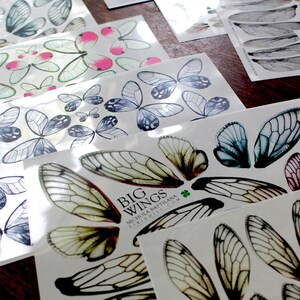 10 Sheet Transparency Variety Pack Clear Wing Transparency Sheets Cut ...