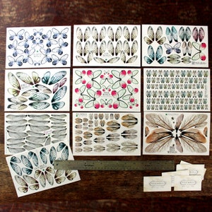 10 Sheet Transparency Variety Pack Clear Wing Transparency Sheets Cut ...