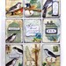 For the Birds - PDF Collage Sheet Download - Etsy Canada