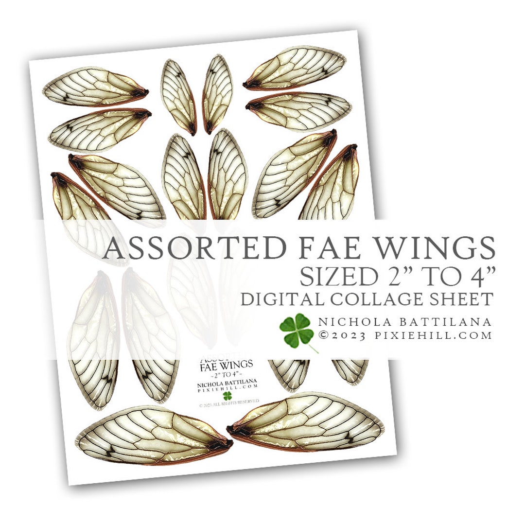 2" to 4" Assorted Large Fae Wings Digital Download Collage Sheet PDF ...