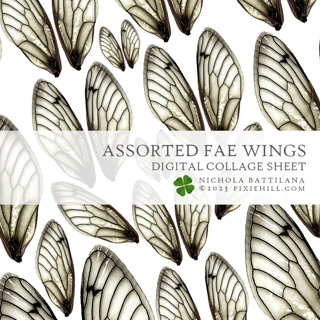 Fae Wings Digital Download Collage Sheet PDF Faerie Fairy *fairy Crown ...