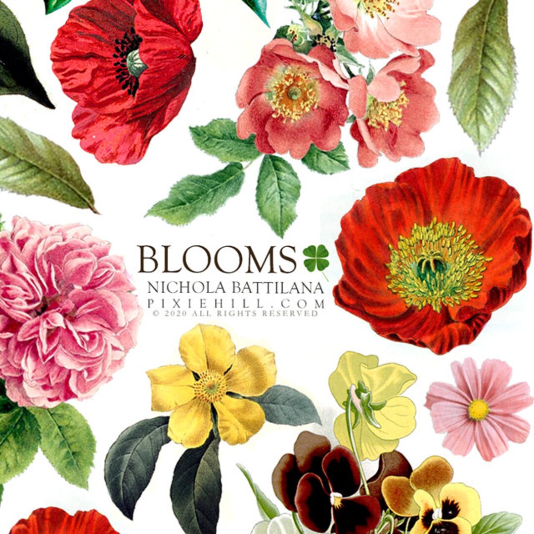 Blooms Floral Flower Downloadable PDF Collage Sheet - Etsy