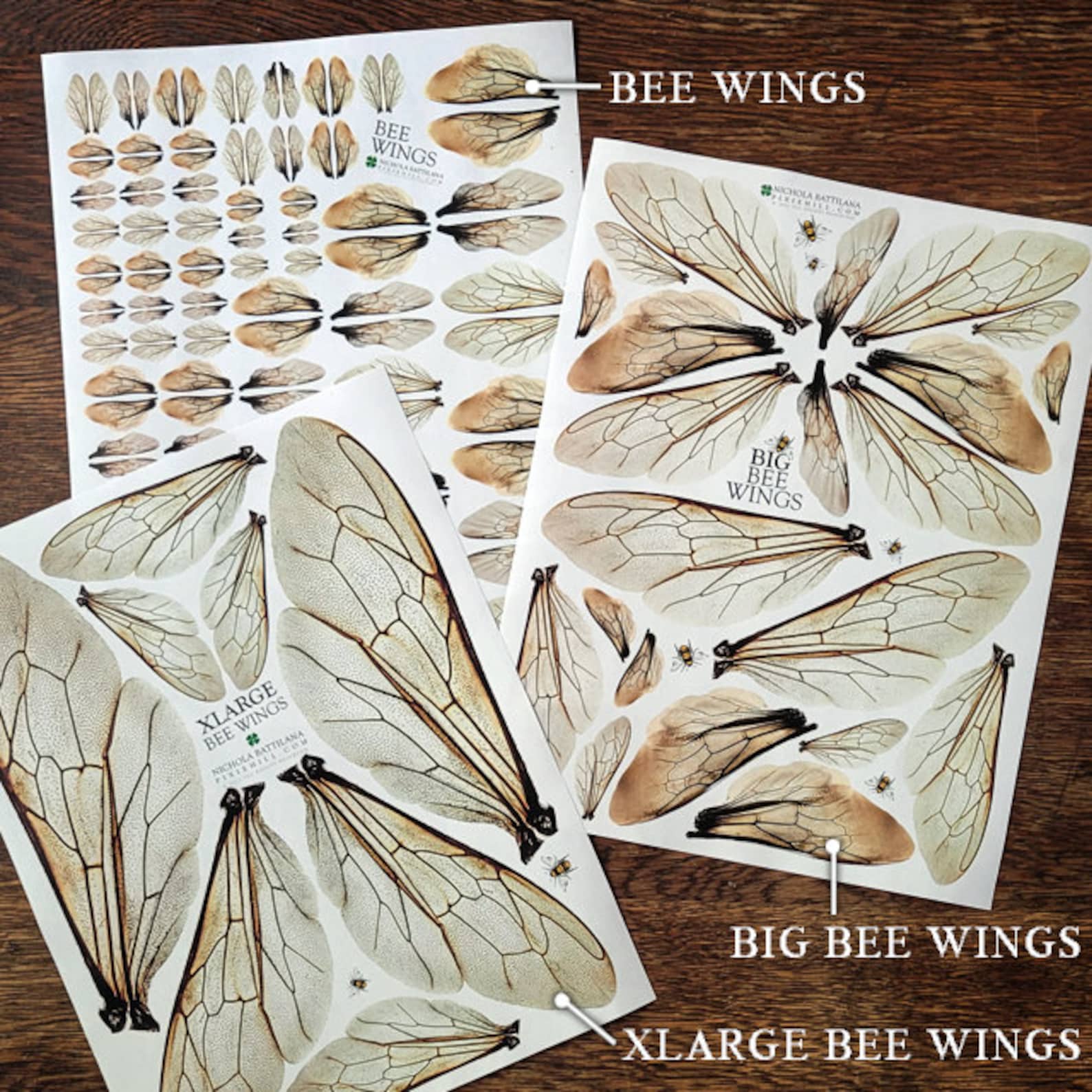 Bumblebee Wings Digital Download Collage Sheet PDF - Etsy