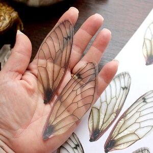 3.5" Inch Fae Wings Digital Download Collage Sheet PDF Faerie Fairy - Etsy