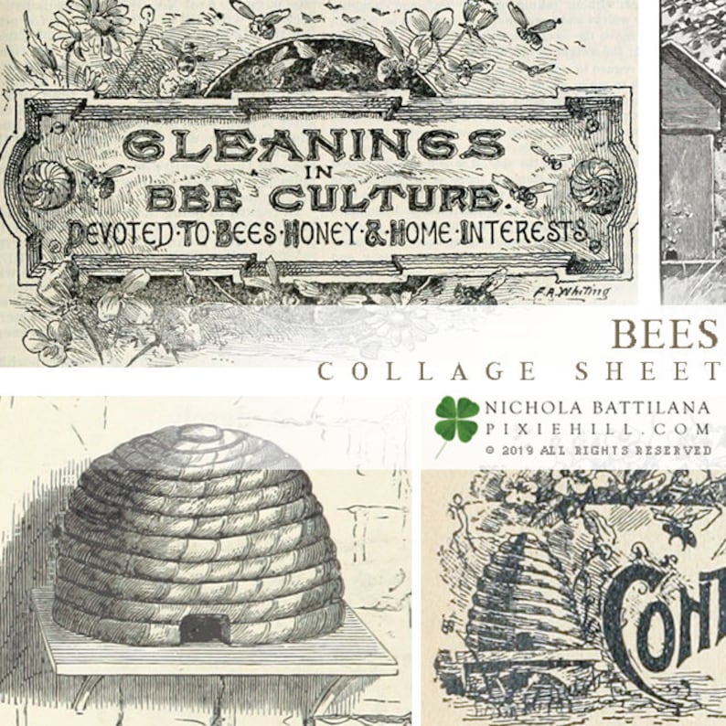 Bees and Bee Keeping Downloadable PDF Collage Sheet - Etsy