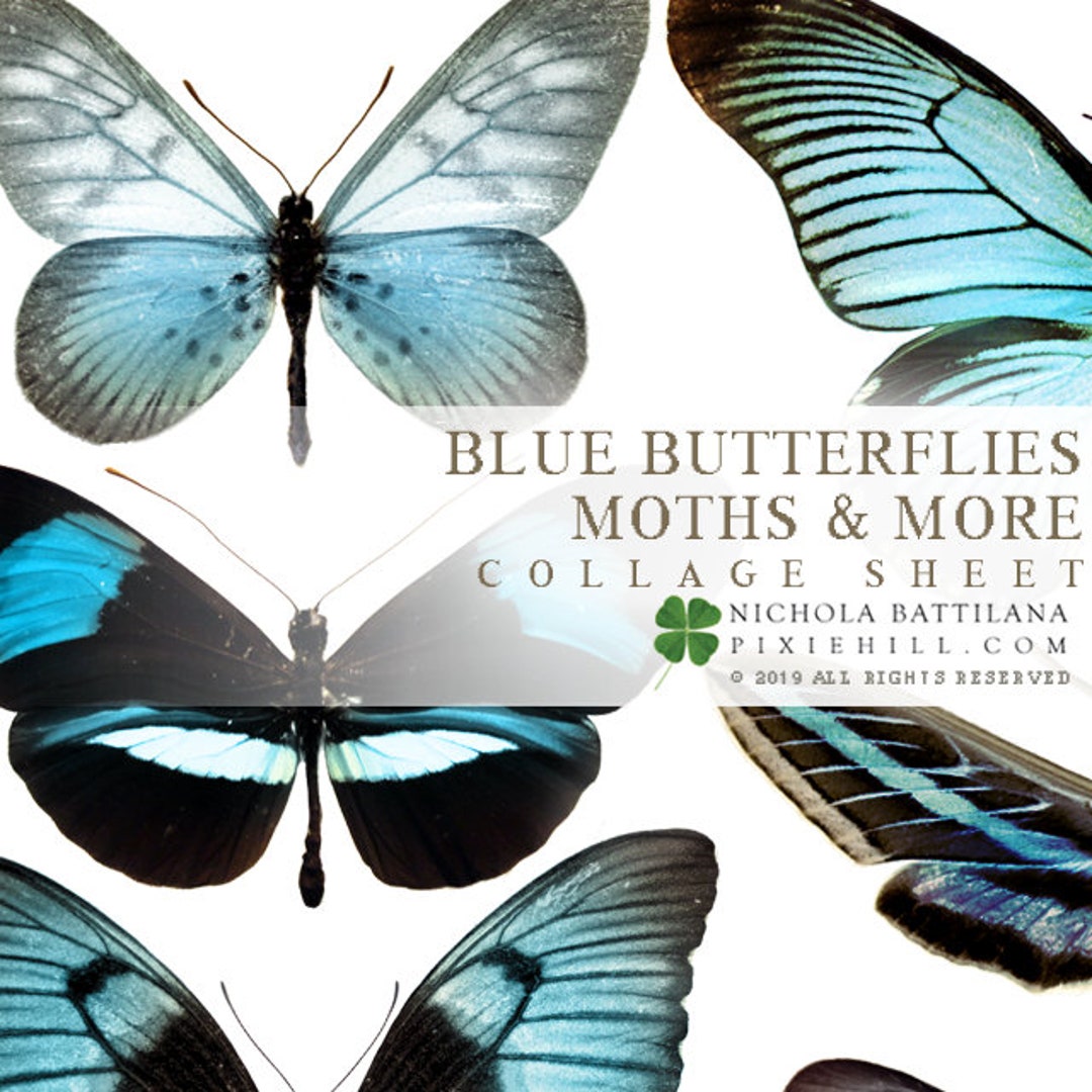 Blue Butterflies Downloadable PDF Collage Sheet - Etsy