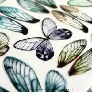 10 Sheet Transparency Variety Pack Clear Wing Transparency Sheets Cut ...