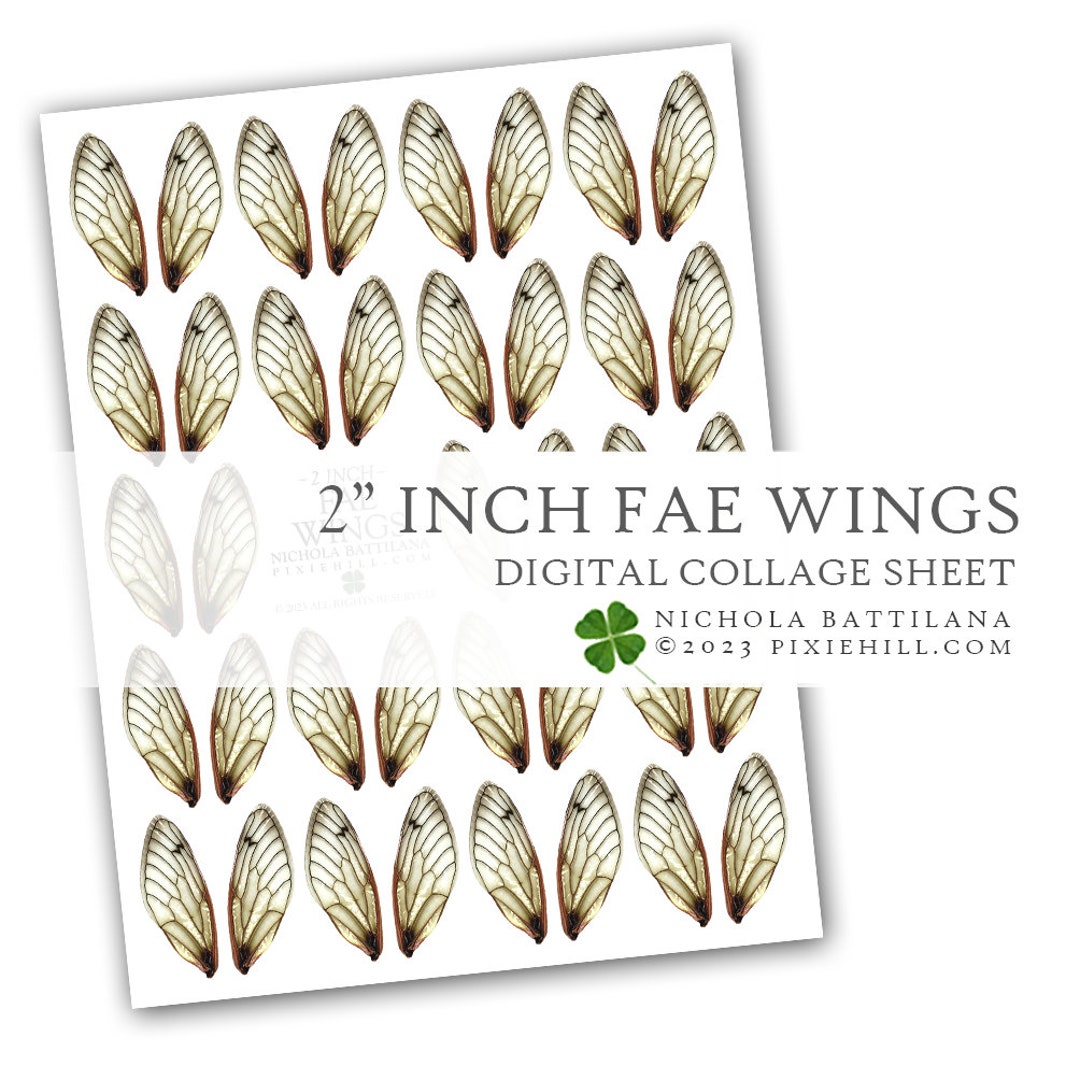 2" Inch Fae Wings Digital Download Collage Sheet PDF Faerie Fairy - Etsy