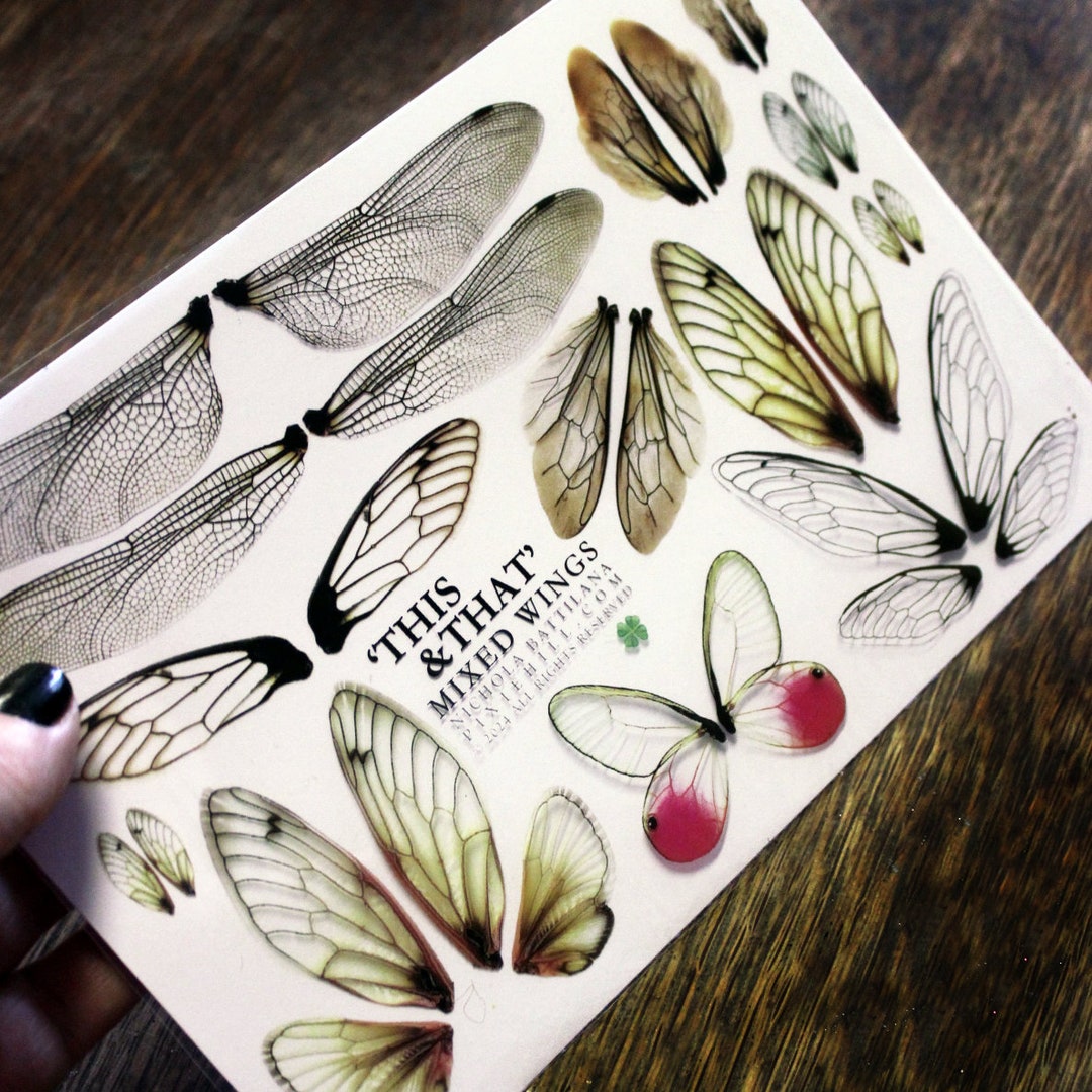 This & That Variety of Mixed Wings on Transparency Collage Sheet - Cut ...