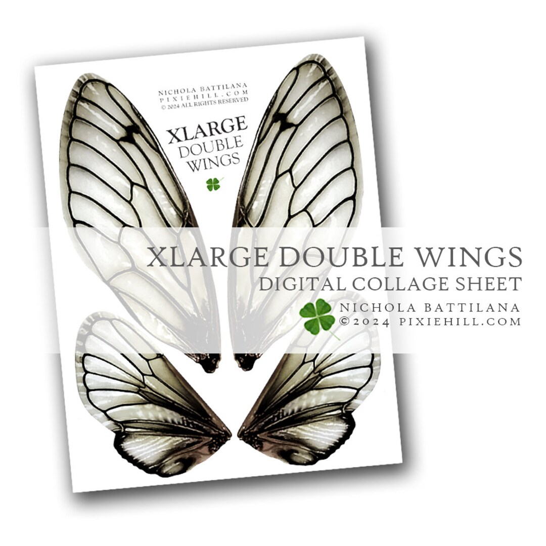 XLARGE Double Wings Over-sized Fae Fairy Cicada Digital Download ...