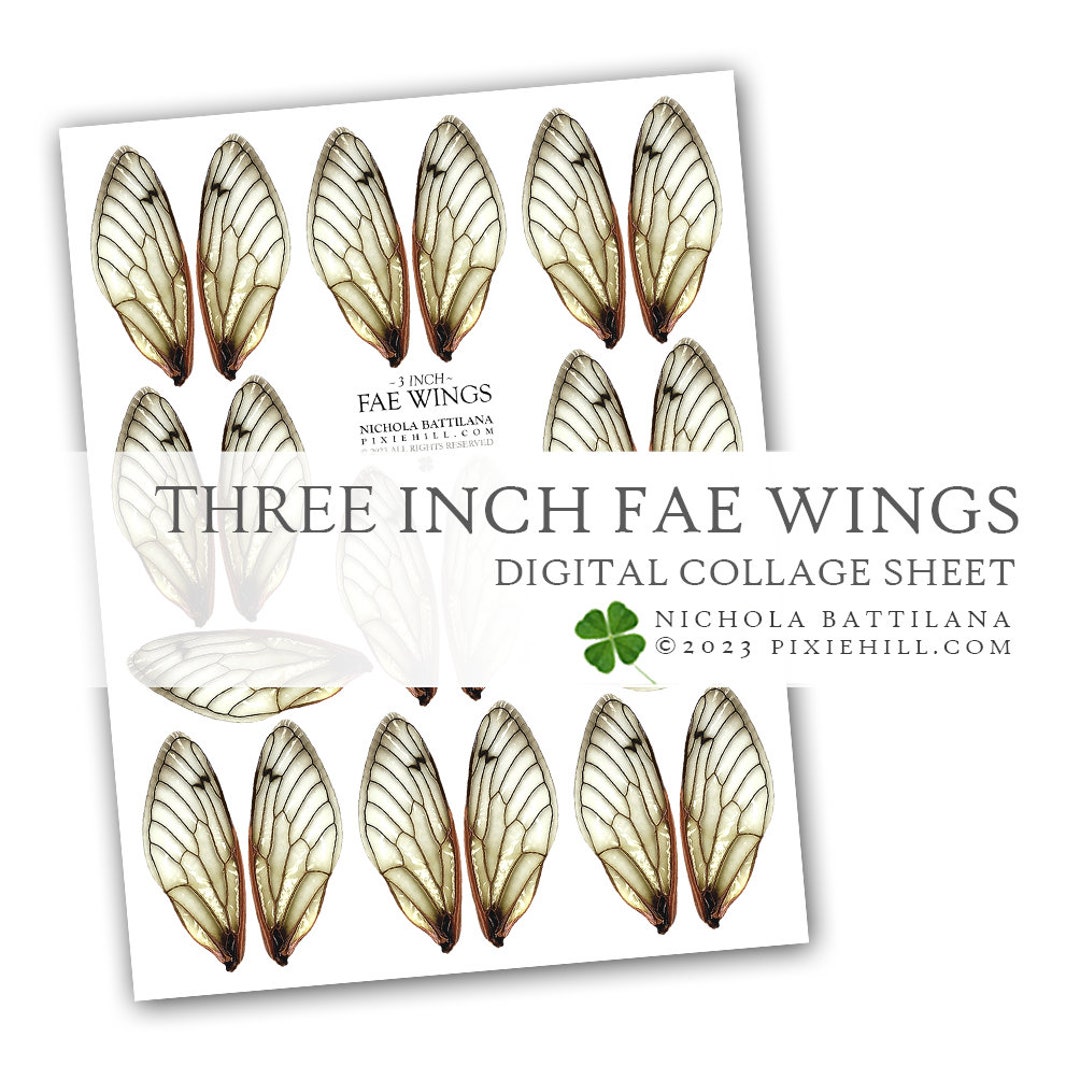 3" Inch Fae Wings Digital Download Collage Sheet PDF Faerie Fairy - Etsy