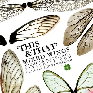 This & That Variety of Mixed Wings on Transparency Collage Sheet - Cut ...