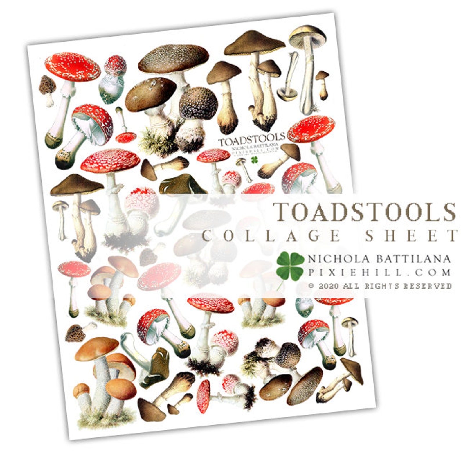Toadstools Mushrooms Downloadable Pdf Collage Sheet Etsy