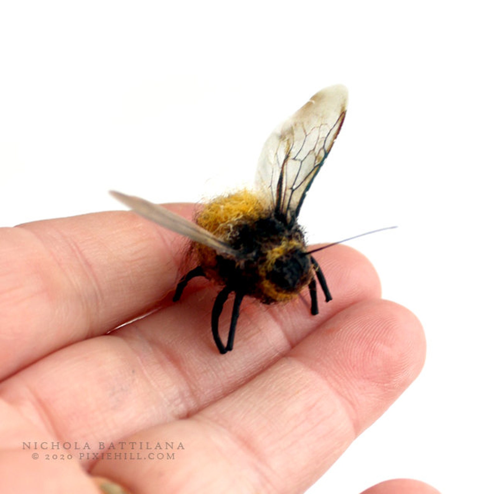 Bumblebee Wings Digital Download Collage Sheet PDF - Etsy