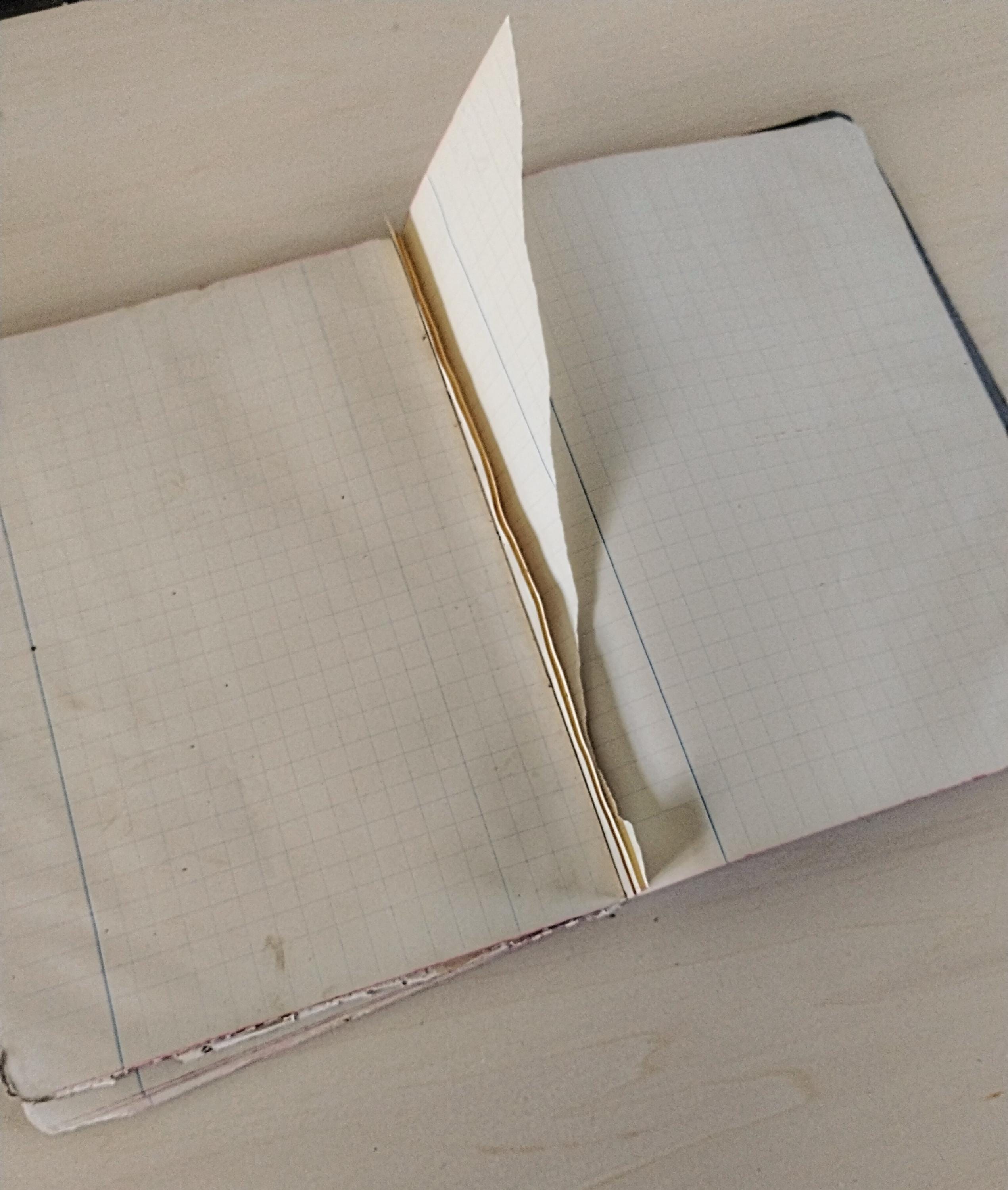 Vintage French Exercise Book, Vintage Exercise Book, Vintage School ...