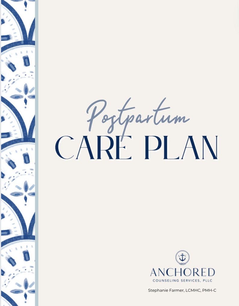 Postpartum Care Plan - Etsy