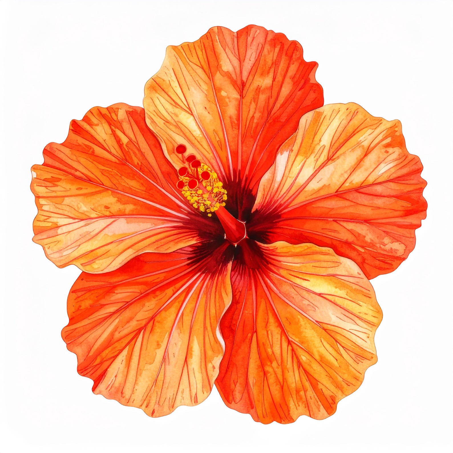 12 Hibiscus Flower Watercolor Clipart Tropical Bloom Botanical Art ...