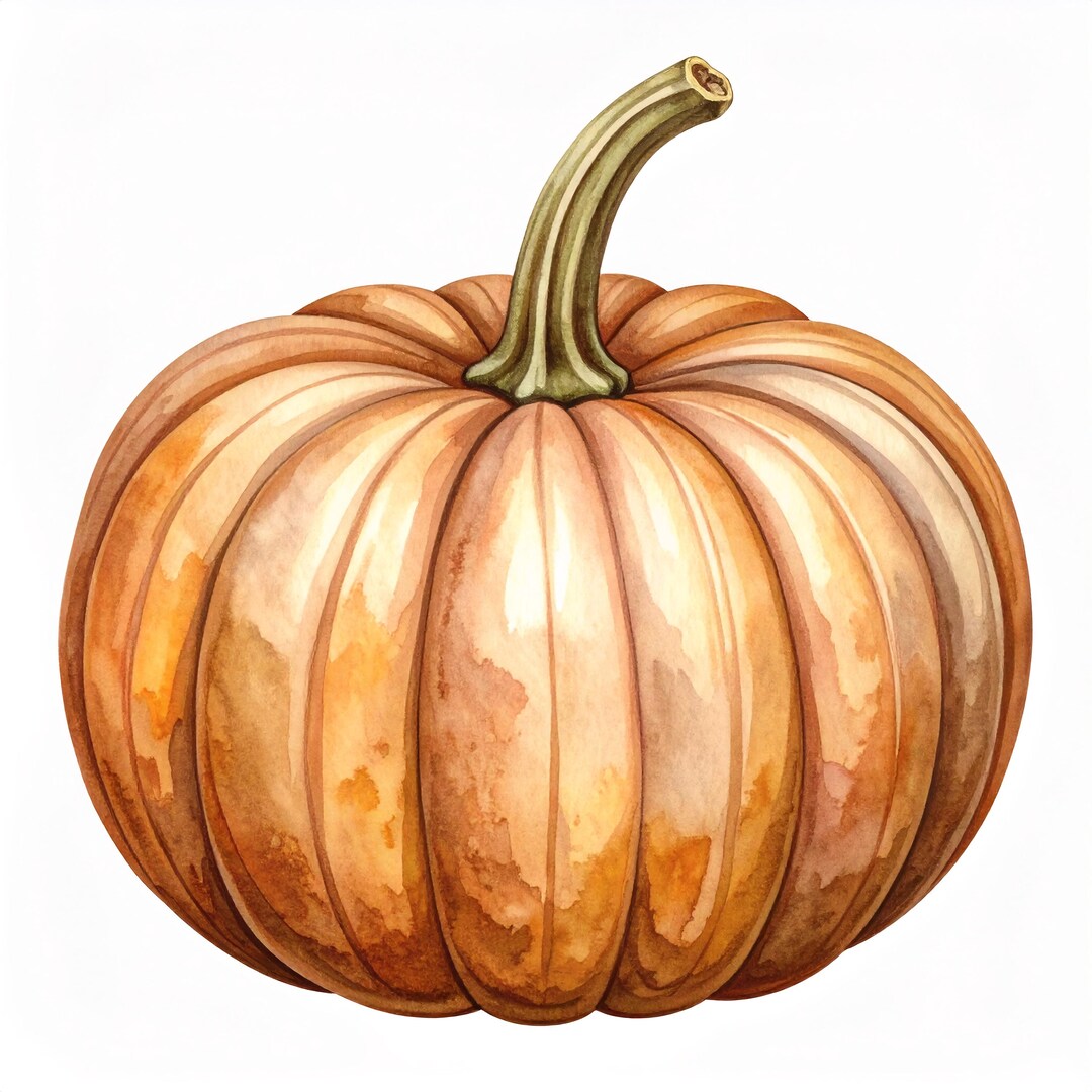 12 Pumpkin Clipart Watercolor Autumn Harvest Orange Pumpkin ...