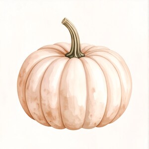 12 Pumpkin Clipart Watercolor Autumn Harvest Orange Pumpkin ...