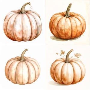 12 Pumpkin Clipart Watercolor Autumn Harvest Orange Pumpkin ...