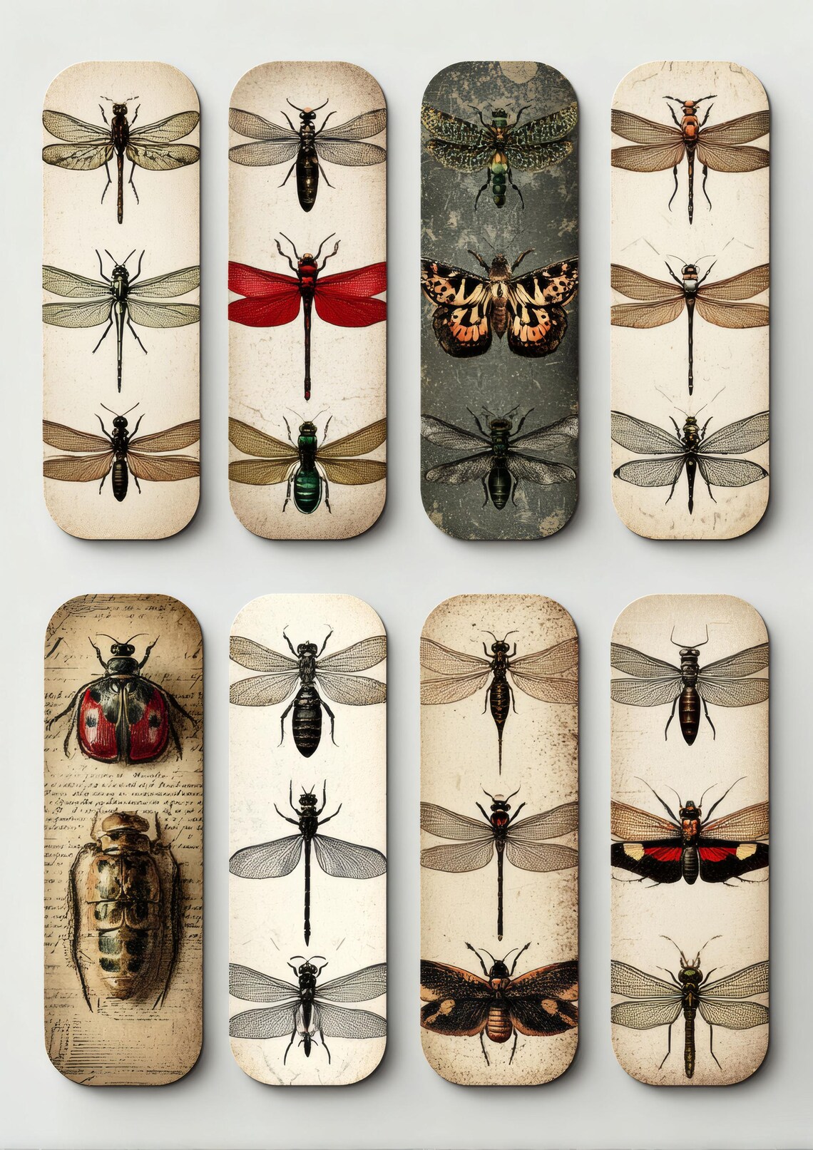Insect Pocket Labels Printable, Bug Journal Labels, Vintage Insect ...