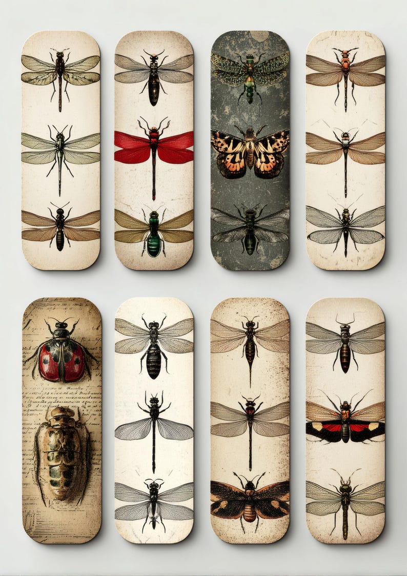 Insect Pocket Labels Printable, Bug Journal Labels, Vintage Insect ...