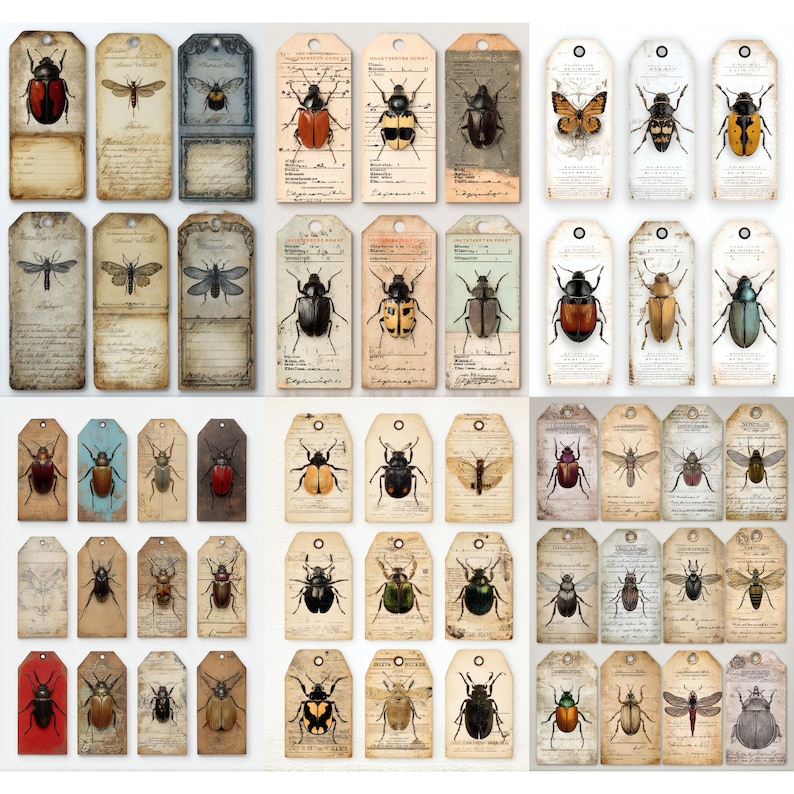 Insect Pocket Labels Printable, Bug Journal Labels, Vintage Insect ...