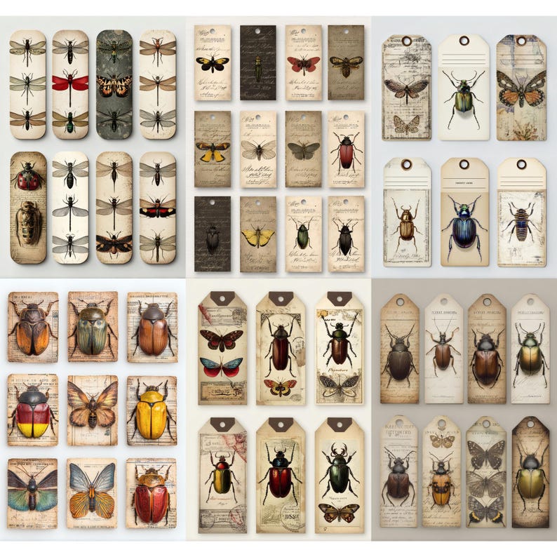 Insect Pocket Labels Printable, Bug Journal Labels, Vintage Insect ...